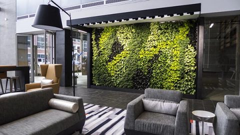 For Design Professionals - Interiorscape Network